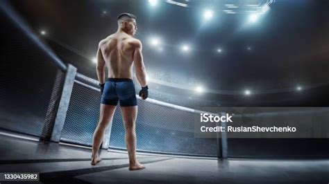 Mma 케이지 스포츠 컨셉 팔각형의 Mma 전투기 선수 뒤에서 보기 권투 스포츠에 대한 스톡 사진 및 기타 이미지 권투 스포츠 남자 20 24세 Istock