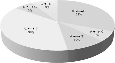 Pie Chart Of Snp Mutation Types Download Scientific Diagram
