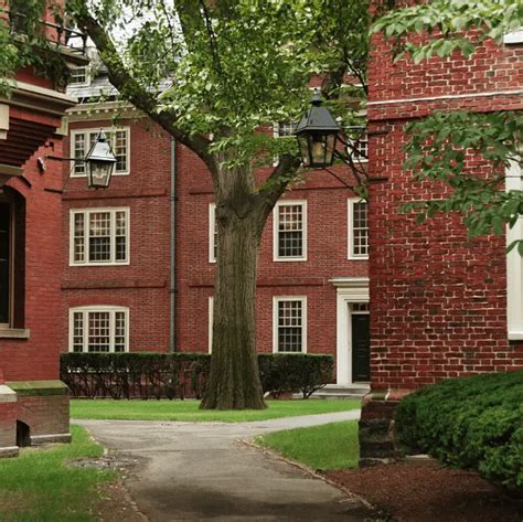 Cybersquare 1 Coding Ai And Robotics Education For Schools