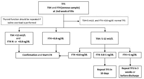 Thyroid Function Screening Protocol Tfs Thyroid Function Screening