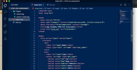 Solved I Linked My Css Correctly But For Some Reason It S Chegg
