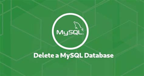 Mysql Myfreax