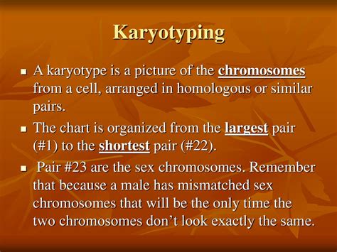 Atypical Cell Division Ppt Download