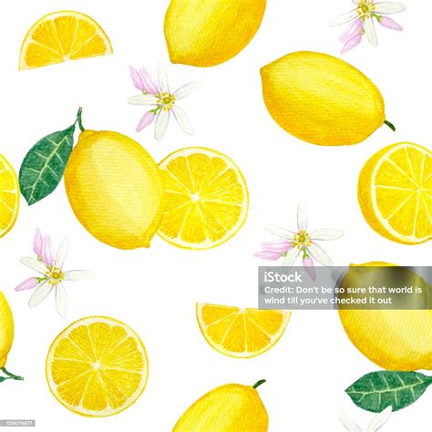 노란 레몬 과일과 슬라이스 라임 꽃과 녹색 잎 그림 수채화 그리기 원활한 패턴 클리핑 경로와 흰색에 고립 감귤류 과일에 대한