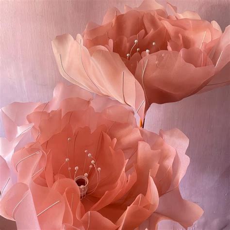 Produk Giant Flower Indonesia Shopee Indonesia