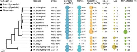 Any Ideas On How To Replicate This Kind Of Grid Chart R