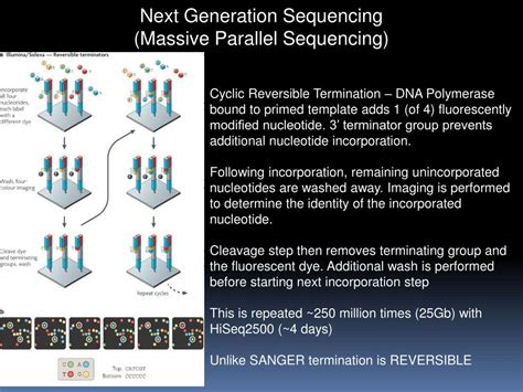 PPT RNA Seq A Soon To Be Outdated Tutorial PowerPoint Presentation ID