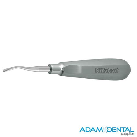 Nordent Surgical Straight Elevators Adam Dental Supplies Australia