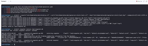 ETCD Backup Restore With Peer Key And Peer Crt Kubernetes KodeKloud