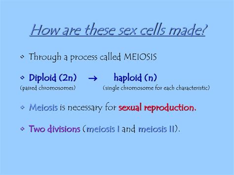 MEIOSIS Ppt Download