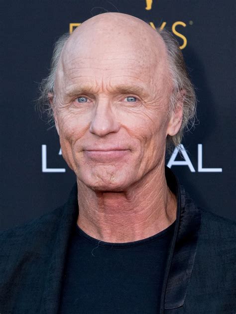 What Tv Show Did Ed Harris Play In At Sherri Branch Blog