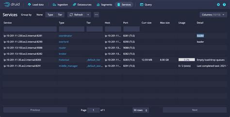 Exploring Apache Druid A High Performance Real Time Analytics Database