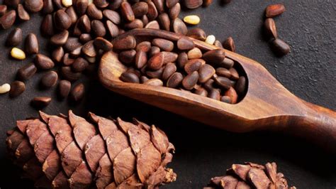 Кедровые орехи полезные свойства для организма Youtube