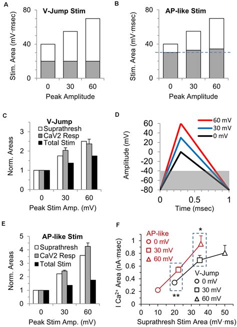 Stimulus Area Above −40 Mv Correlates With The Area Of The Calcium
