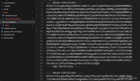 关于espidf框架下的使用esp根证书 Csdn博客