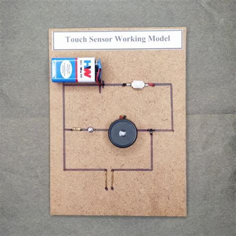 My Store Your Science Project Partner