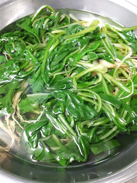 나물무침 고들빼기무침