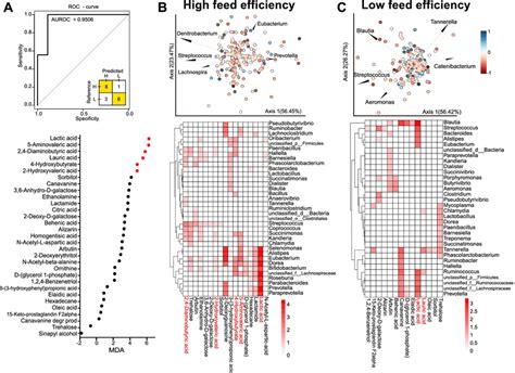 Prediction Of Host Feed Efficiency Using Rumen Metabolites And Download Scientific Diagram