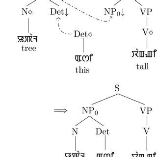 Initial Tree For Compound Sentences Example