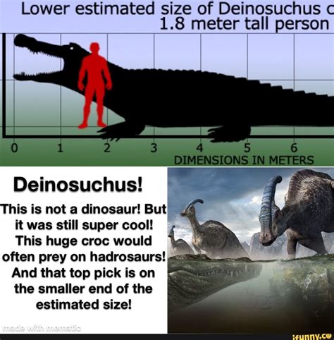 Lower Estimated Size Of Deinosuchus C Deinosuchus This Is Not A Dinosaur But It Was Still
