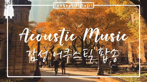 작업용 Bgm 황금잎길을 걸으며 잔잔한 어쿠스틱 음악을 즐겨보세요 Autumn Morning 🍂 Youtube Music