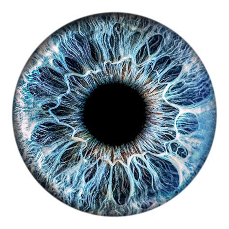 Iris Eye