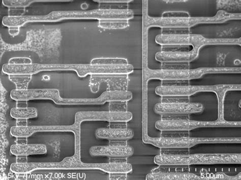 read microchip mcu pic16f818 binary