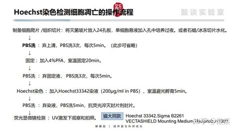 有救了！cck 8、mtt、划痕实验 、transwell 实验、pi染色等14个实验，巨详细！ 知乎