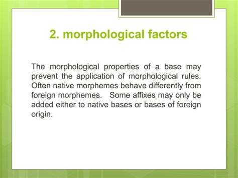 Morphological Productivitypptx