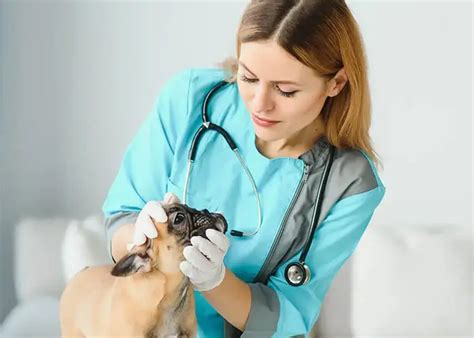 Winwire Success Stories