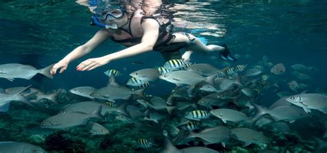 Best Scuba Diving Varadero Scuba Diving Varadero