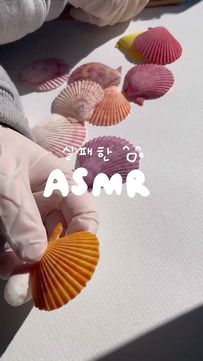 🫶 찍다보면 카메라도 넘어지고 그러는거죠🥹 여수 여수기념품 여수소품샵 여수여행 운수창작소 여수기념품샵 Youtube