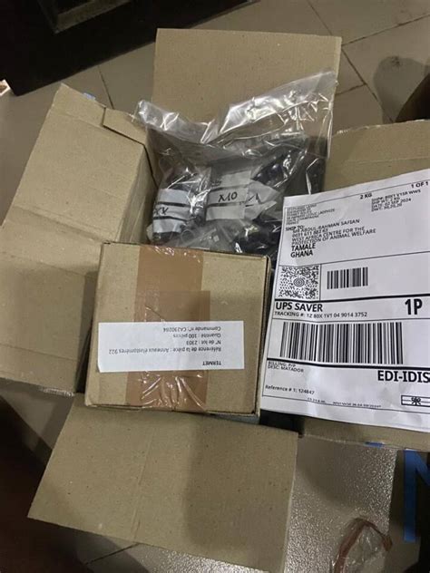 Captive Bolt Stunners Being All Maintained And Repaired In Ghana