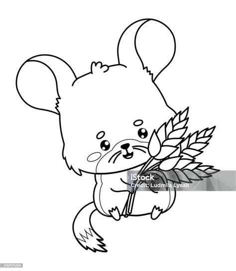 밀 이삭을 곁들인 행복한 친칠라 만화 Kawaii 설치류 캐릭터를 개요 선화 색칠 공부 벡터 일러스트 레이 션입니다 키즈 컬렉션 가공의 인물에 대한 스톡 벡터 아트 및 기타