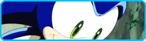 L Oyalhedgehog User Profile Deviantart