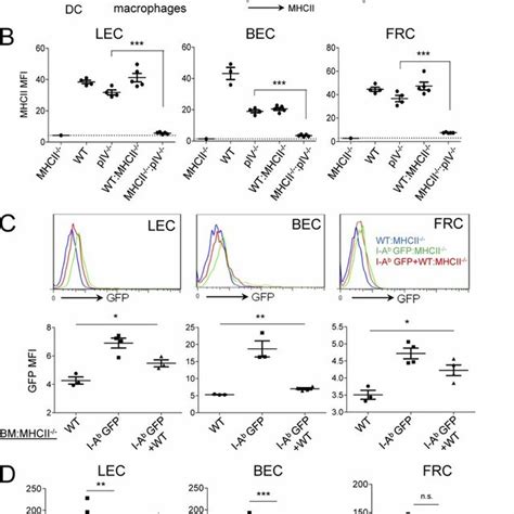 Lnscs Acquire Mhcii Molecules From Hematopoietic Cells A Mhcii Mfi Lnscs Acquire Mhcii Molecules From Hematopoietic Cells A Mhcii Mfi
