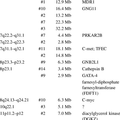 Genomic Amplifications And Candidate Genes Detected By Microarray