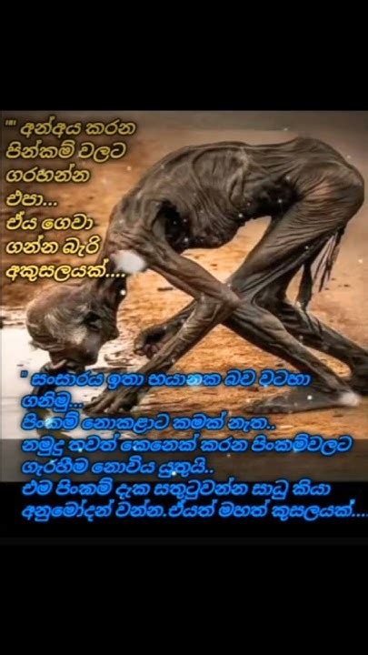 අප හැකි පමණින් හෝ🙏🙏කුසල් දහම් දිවුණු කරමු 𝗩𝗜𝗥𝗔𝗟 𝗦𝗛𝗢𝗥𝗧 𝗩𝗜𝗗𝗘𝗢 Youtube