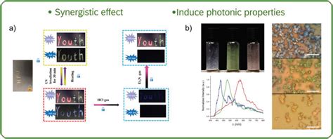 Representative Examples Of Hierarchical Mofs For Optical Applications Download Scientific
