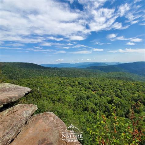 A Guide To The Giant Ledge Trail Hike In The Catskills