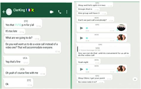 Screenshots Of Demonstration Of Adaptability And Problem Solving Download Scientific Diagram