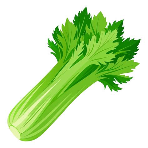 Celery Clipart Vector Illustration Premium Ai Generated Vector