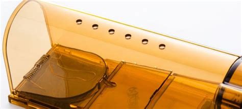 How To Catch A Mouse In The House