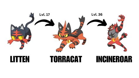 Pokémon Sun And Moon All Starters And Evolutions The Daily Juice