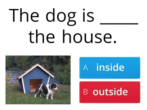 Positional Words Complete The Sentence Quiz