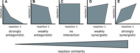 Schematic Of Our Constraint Based Model Of The Range Of Possible Download Scientific Diagram