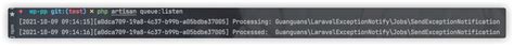 Issue Guanguans Laravel Exception Notify Github
