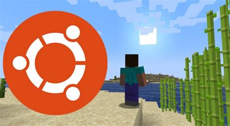 How To Install Minecraft Java Edition On Ubuntu Pi My Life Up