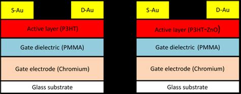 Structure Of Top Contact Bottom Gate P3ht Transistor Left And Download Scientific Diagram