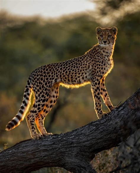 Photography Africa